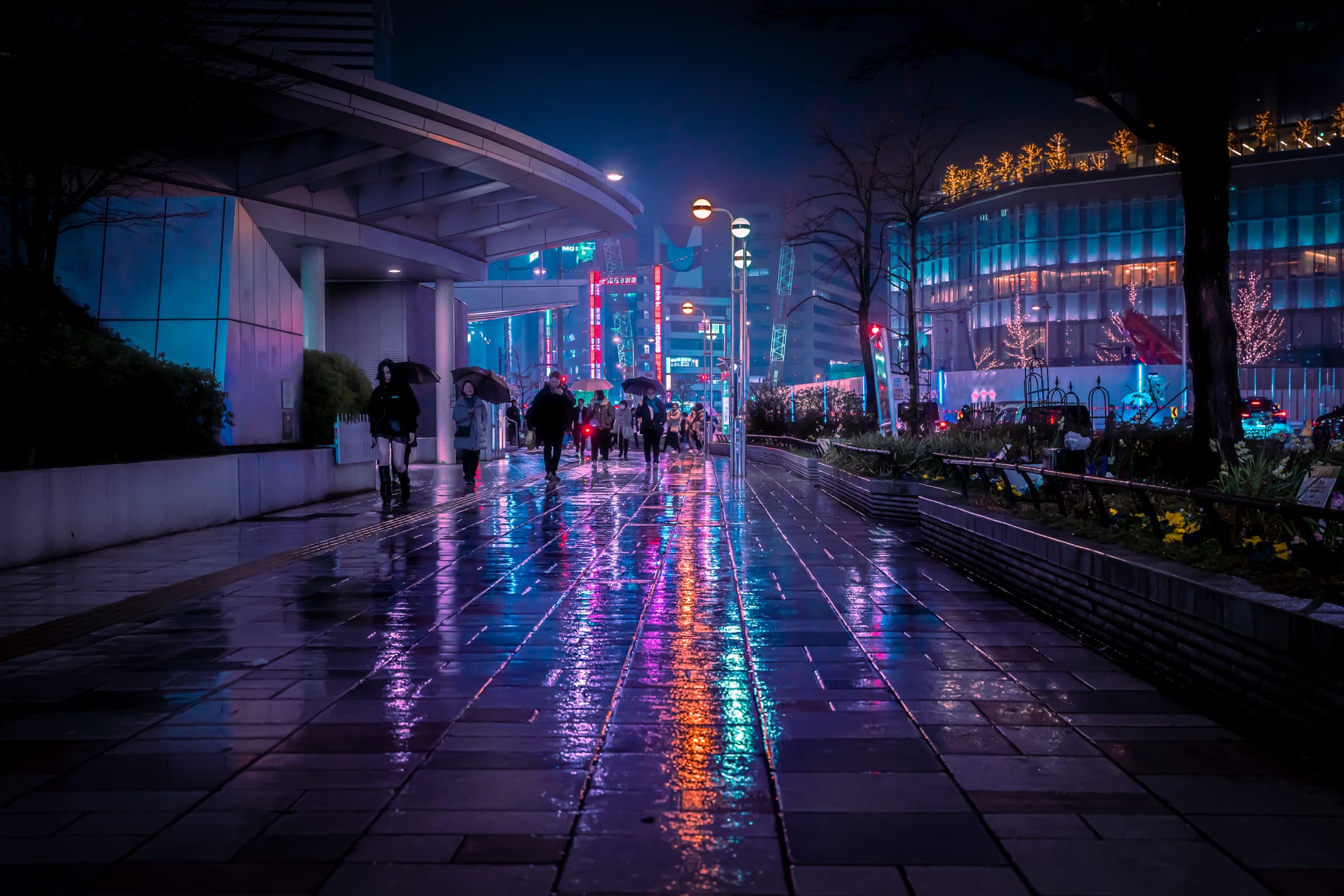 Online Exhibition: David Behringer Photography